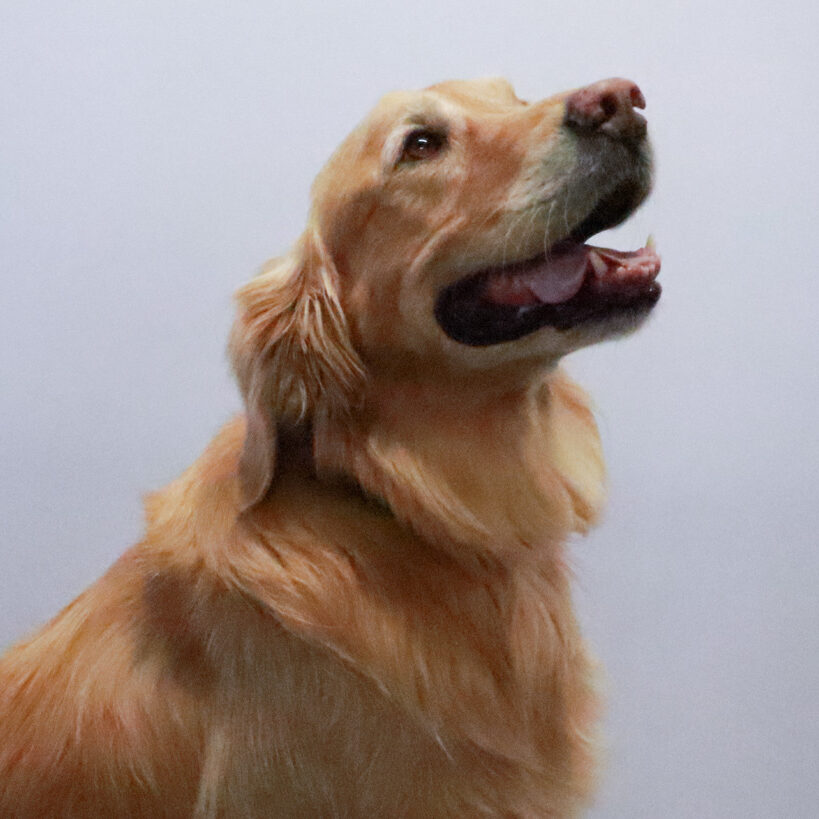 Learn About HOA Management Experts - PayHOA